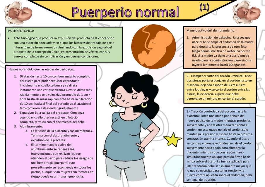 Puerperio Normal (1) | J/Diego P/Vásquez | uDocz