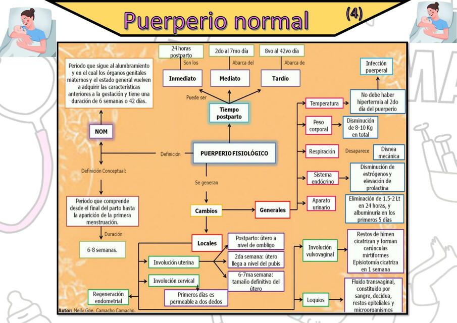Puerperio Normal (4) | J/Diego P/Vásquez | uDocz