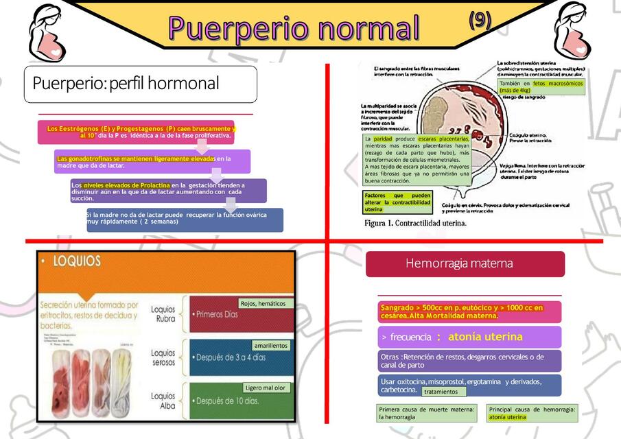 Puerperio Normal (9) | J/Diego P/Vásquez | uDocz