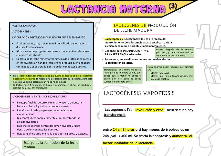 Lactancia Materna (3) | J/Diego P/Vásquez | uDocz