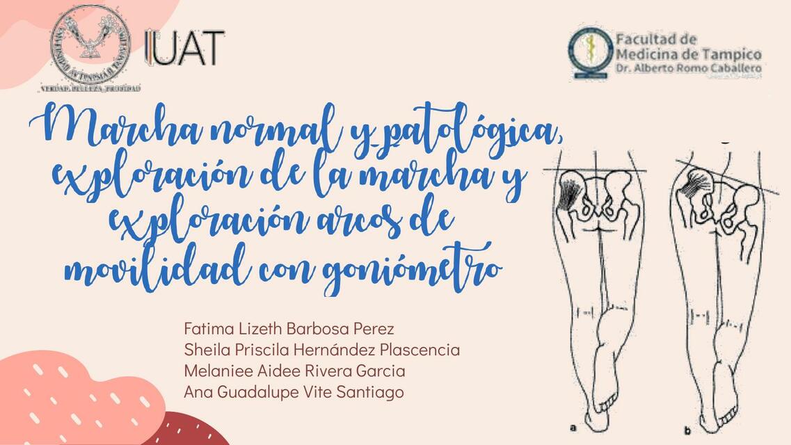 Unidad 6 Marcha normal y patológica y exploración de marcha | Melanie ...