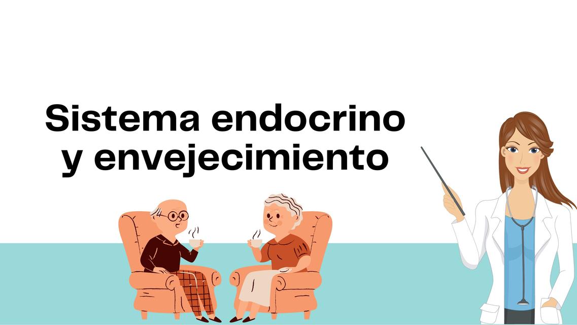 Hormonas y envejecimiento | Anatomia.19 | uDocz