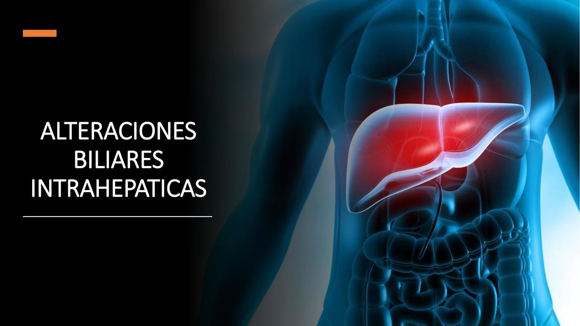 Alteraciones Biliares Hepáticas | ESPM MEDICINA | uDocz