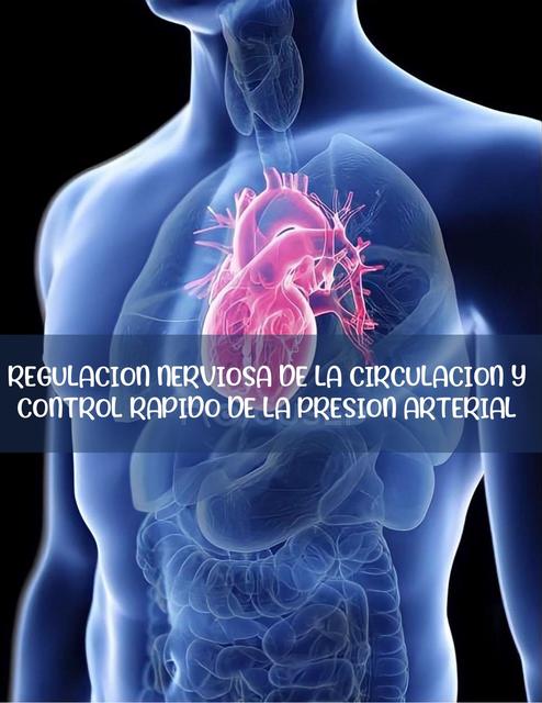 Regulación Nerviosa De La Circulación Y Control Rápido De La Presión