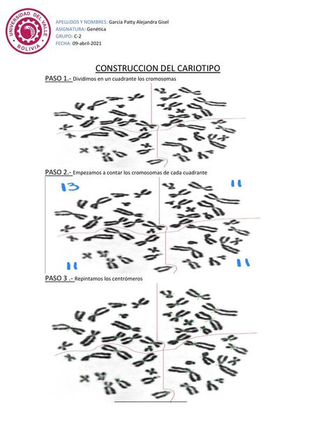 Resúmenes de Centrómero | Descarga apuntes de Centrómero