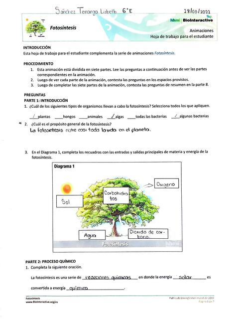 Clave De Respuestas De La Hoja De Trabajo De Respiración Celular