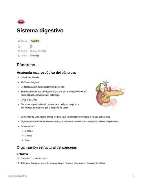 Resúmenes de Conducto intercalar | Descarga apuntes de Conducto intercalar