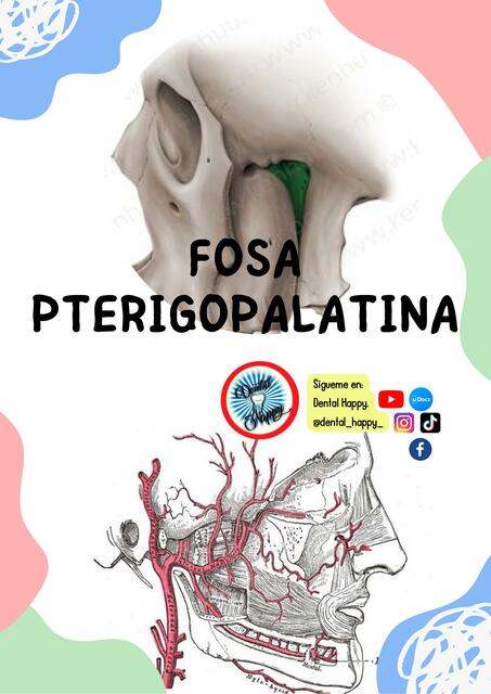 Fosa pterigopalatina | Alan Díaz | uDocz