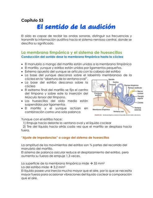 El sentido de la audición | uDocz