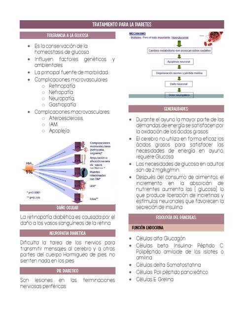 TRATAMIENTO PARA LA DIABETES | StudyMed.jm | uDocz
