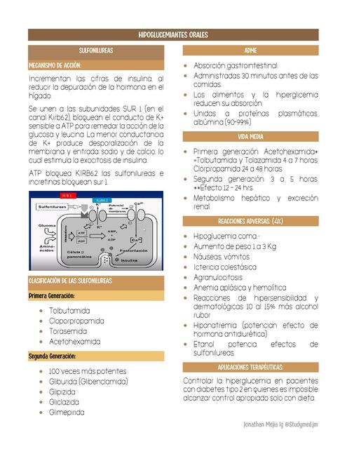 HIPOGLUCEMIANTES ORALES | StudyMed.jm | uDocz