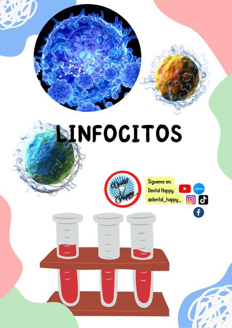 Linfocitos T Y B | Alan Díaz | uDocz