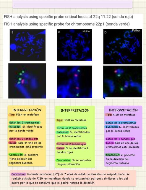 Fish | Sofia Jiménez | uDocz
