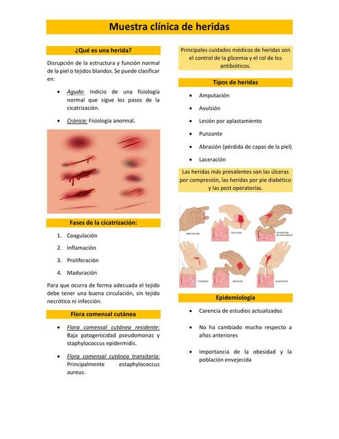 Muestra Clínica De Heridas Rodrigo Cárcamo Udocz