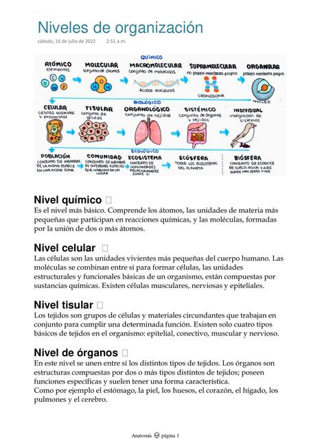 Niveles de organización