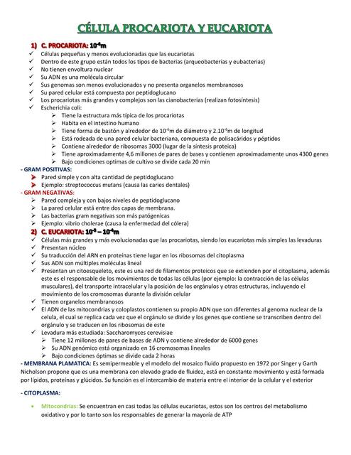 Célula Procariota y Eucariota | AUGUSTO MD | uDocz
