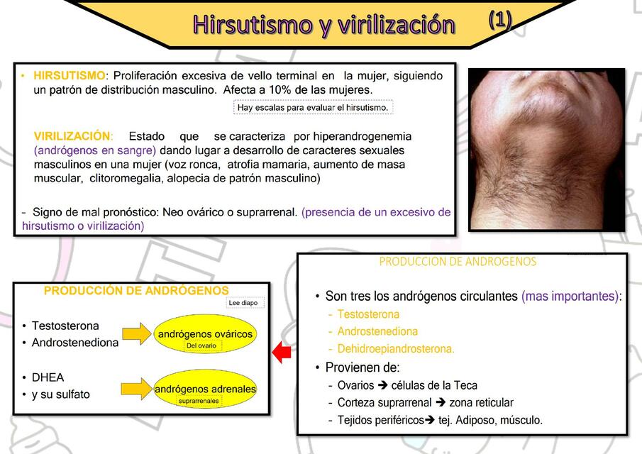 Hirsutismo y Virilización | J/Diego P/Vásquez | uDocz