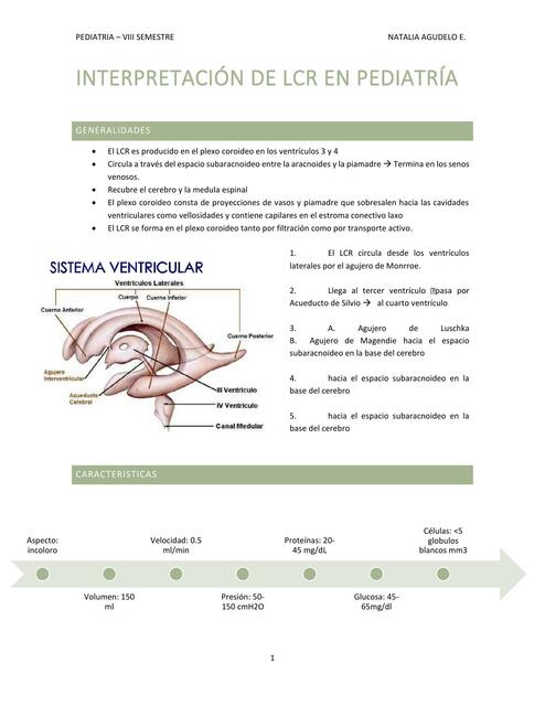 Flashcards de Interpretación de LCR en Pediatría | Por Natalia Agudelo ...