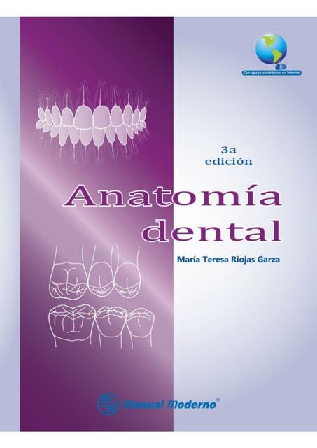 Anatomía Dental | uDocz