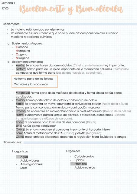 Bioelemento y Biomolécula | Gisel Tello | uDocz