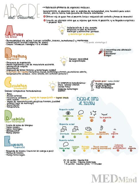 ABCDE del Trauma | Med x Rosie | uDocz