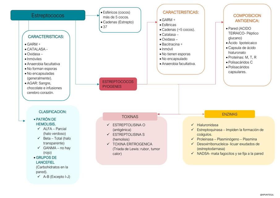 Estreptococos | Janeth Lucas | uDocz