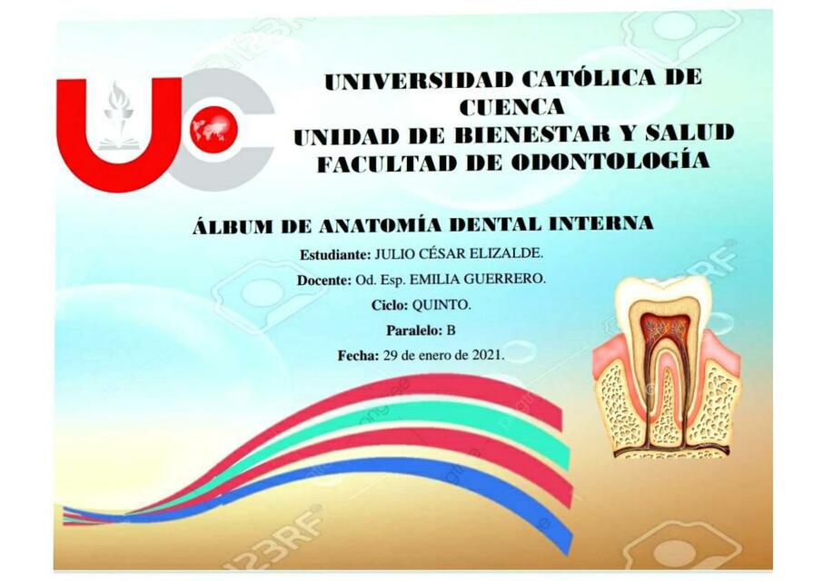 Anatomía en Endodoncia | Cesar Elizalde | uDocz