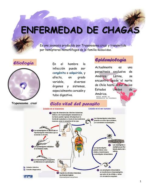 Resúmenes de Chagas | Descarga apuntes de Chagas