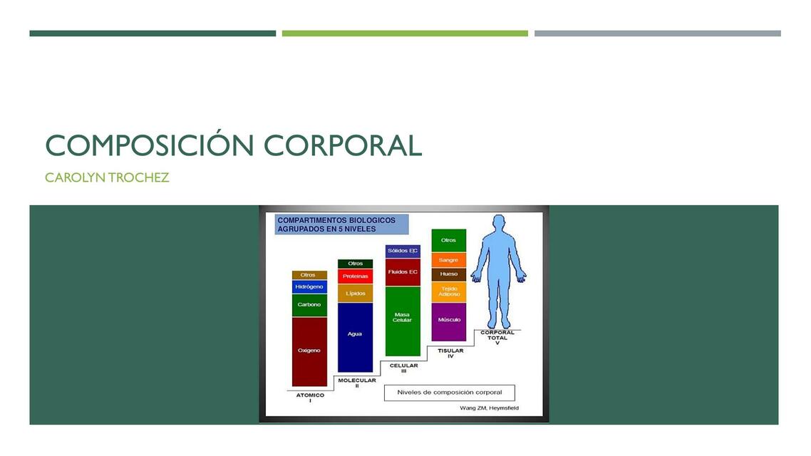 Composición corporal | Carolyn Trochez | uDocz