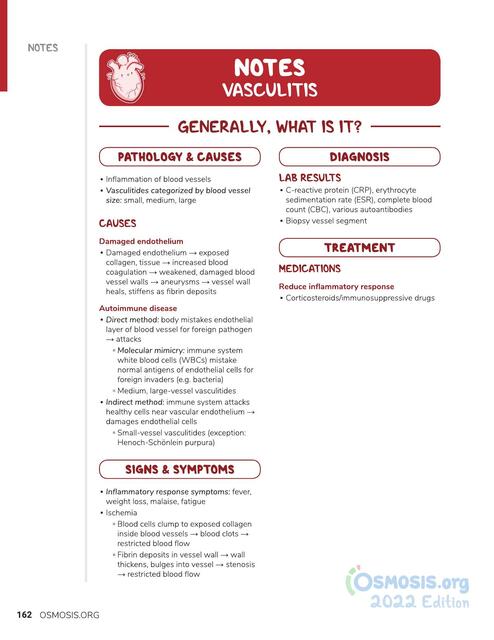 Vasculitis notes diagrams illustrations | Brune Tata | uDocz