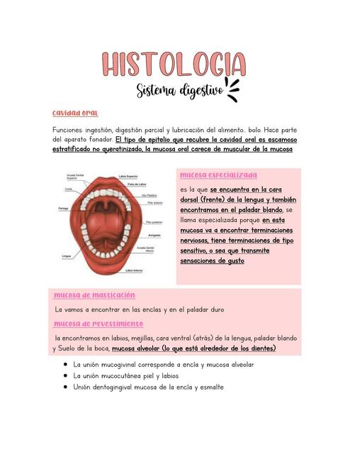 Histología del Sistema Digestivo | Diana Largo | uDocz