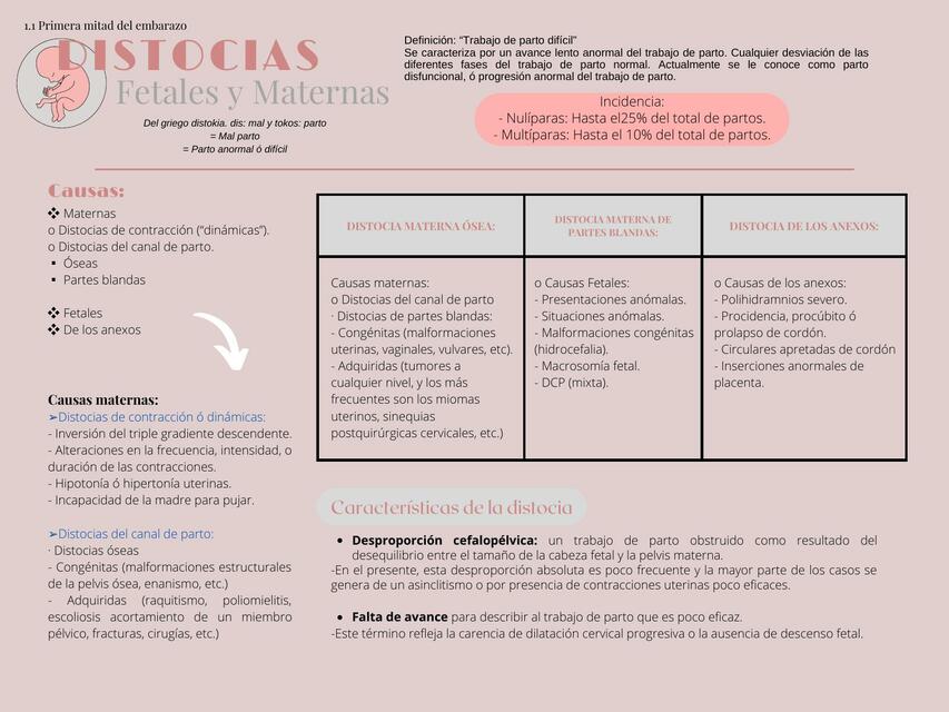 Distocias fetales y maternas | *Jessica Cedillo Monter | uDocz