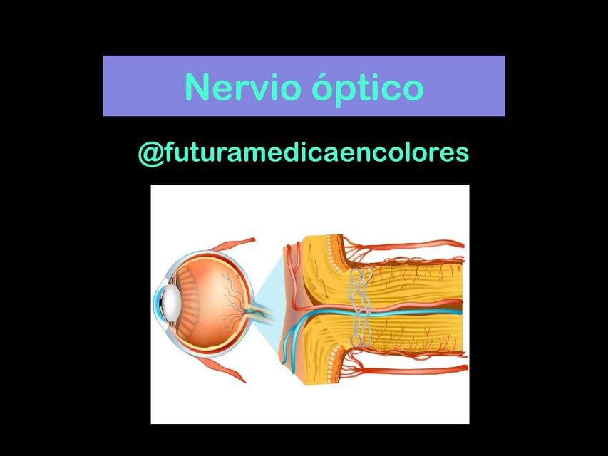 Nervio óptico anatomía patológica | futuramedica encolores | uDocz