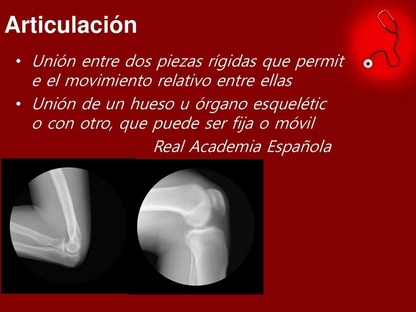 Articulación | Medicina | uDocz