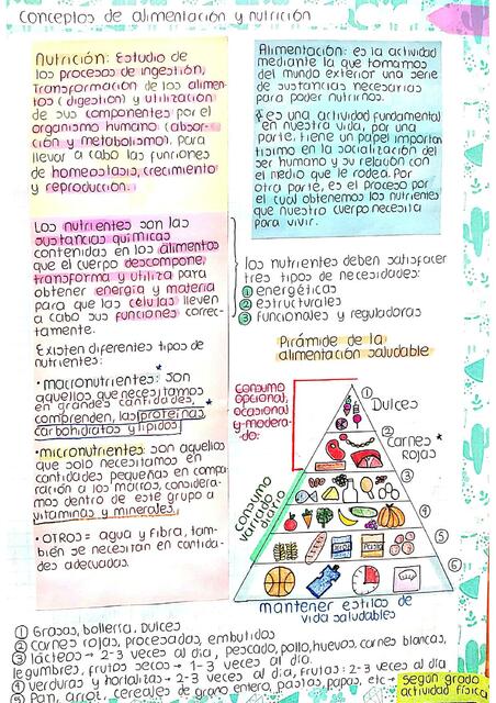 Conceptos de alimentación y nutrición | Ross | uDocz