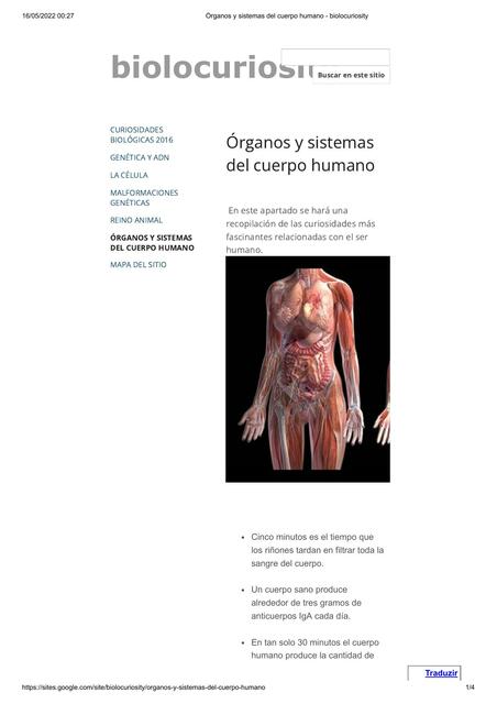 Órganos y Sistemas del Cuerpo Humano | GMVALE | uDocz Órganos y Sistemas del Cuerpo Humano | GMVALE | uDocz