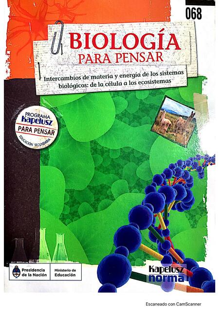 Biología Para Pensar Interacciones de materia y energía de los sistemas ...