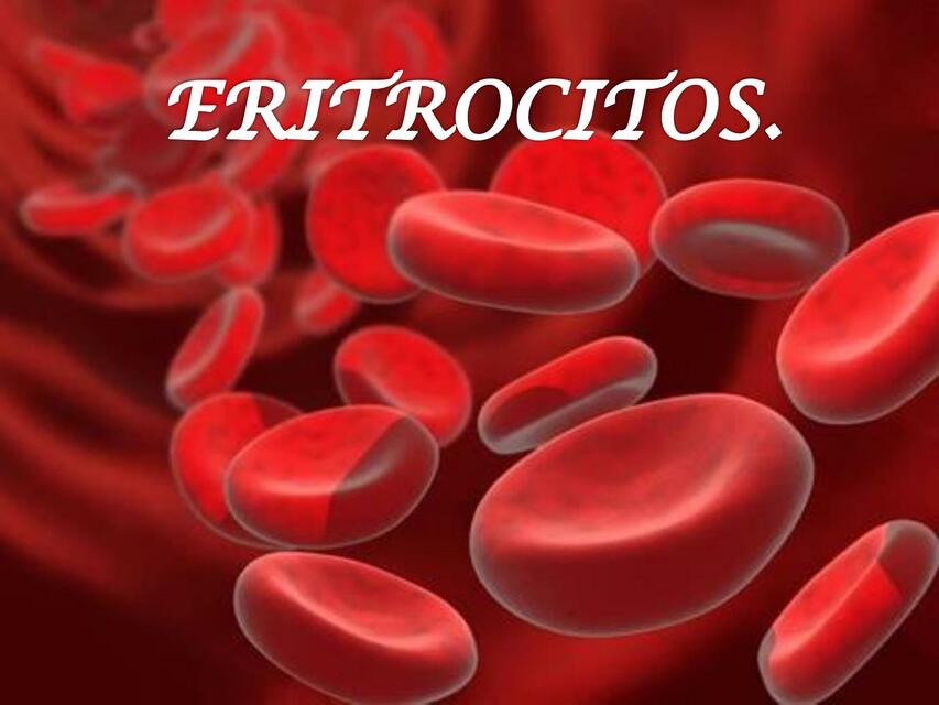 Eritrocitos Cap 33 | DR. JOSÉ SAMPAIO | uDocz