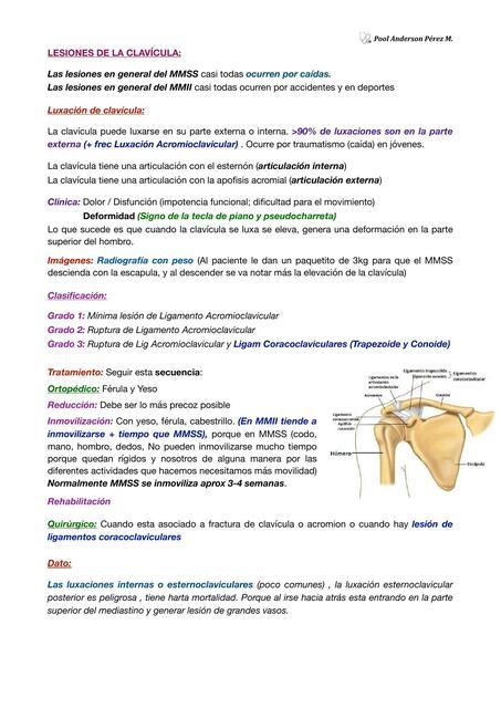 Traumatología MMSS | Pool Perez | uDocz