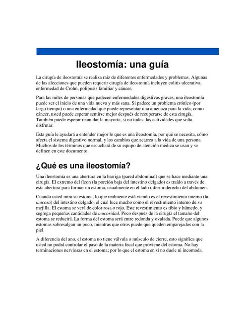 Ileostomía, una guía | Medicina y Farmacia | uDocz