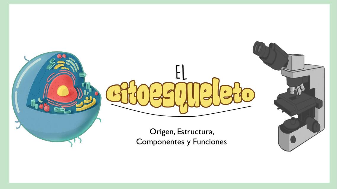 Citoesqueleto Diapositivas | uDocz