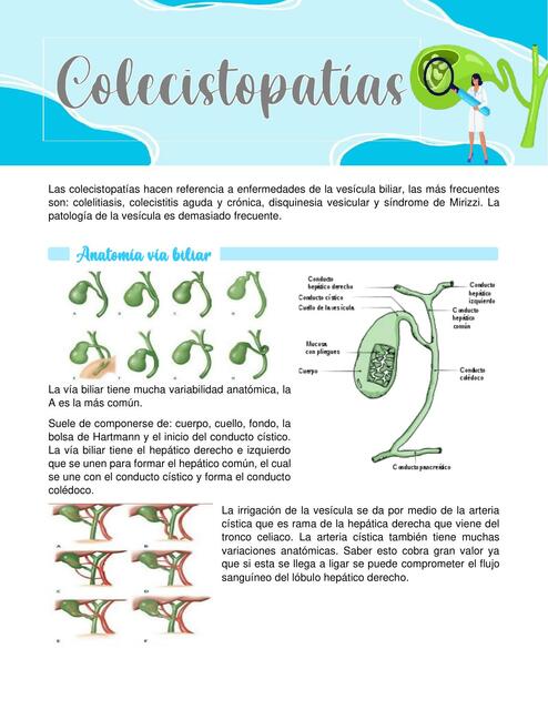 Variaciones De La Arteria Cística