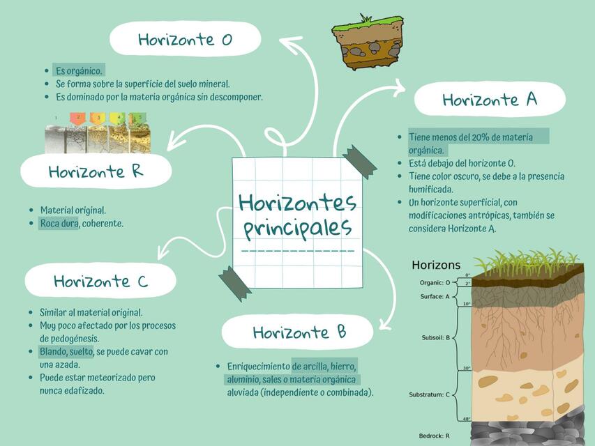 Horizontes Principales del Suelo | samsstudy | uDocz