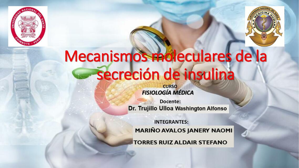 Mecanismos Moleculares de la Secreción de Insulina | Aldair Torres | uDocz