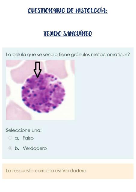 Histología 4P Tejido Sanguíneo | Briggitte Yamilé Suarez Esteban | uDocz