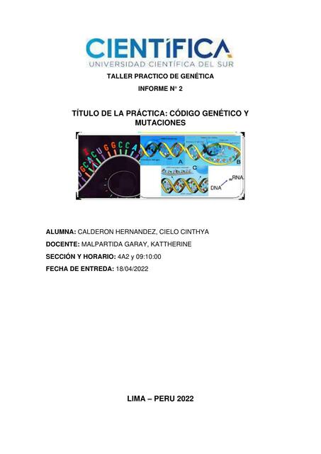 Taller práctico de genética: código genético y mutaciones | uDocz