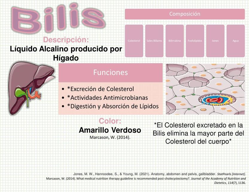 Bilis | María Zazueta | uDocz