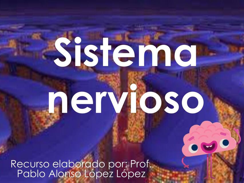 Sistema Nervioso | uDocz