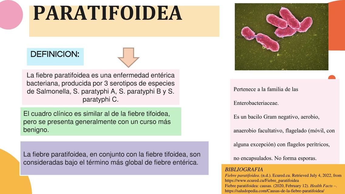 Resúmenes de Paratifoidea | Descarga apuntes de Paratifoidea
