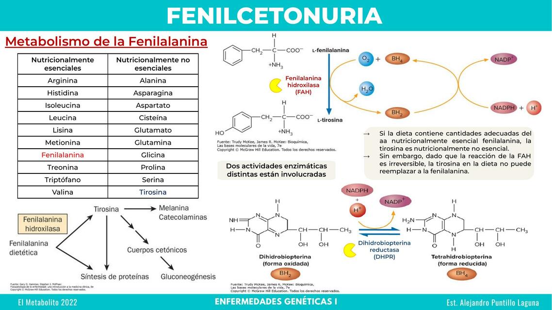 Fenilcetonuria (PKU) | Alejandro | uDocz